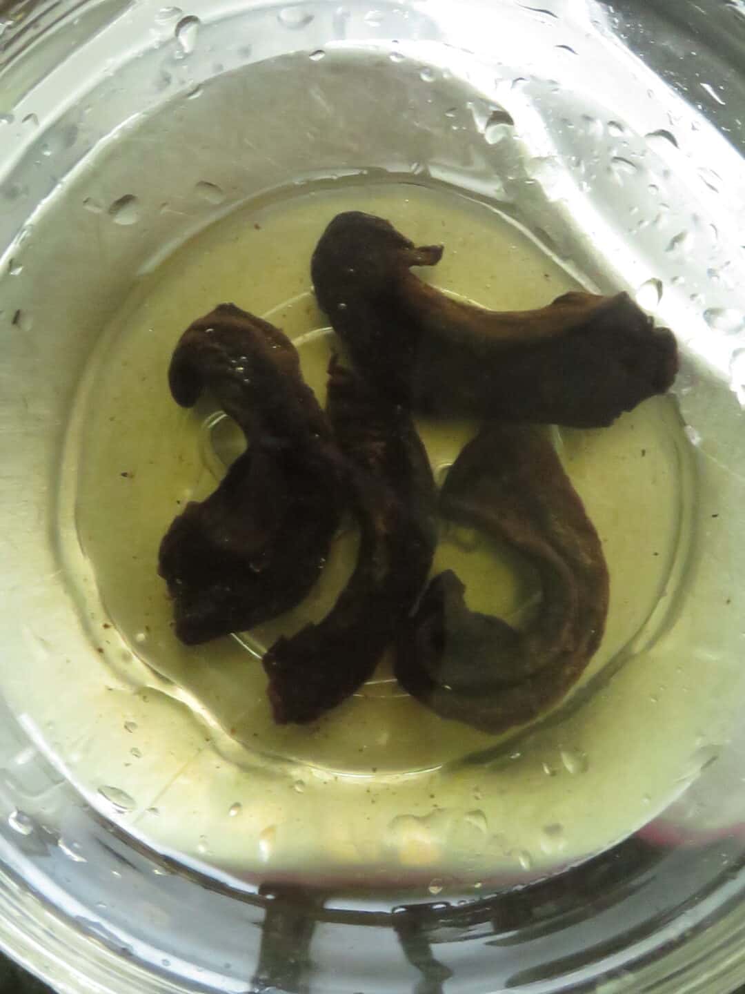 Sri Lankan chilli fish curry(miris malu). | ISLAND SMILE