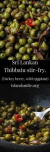SRI LANKAN THIBBATU RECIPE(pea eggplant, turkey berry). | ISLAND SMILE