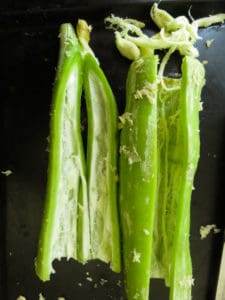 SNAKE GOURD COCONUT MILK CURRY(Pathola kirata). | ISLAND SMILE