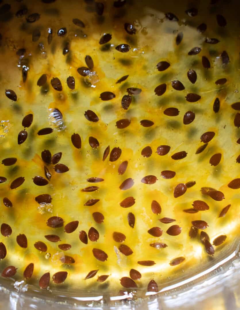 Passion Fruit Sponge Cakesingle Layer Cake Island Smile 0527